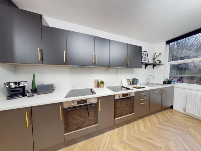 1 bedroom house share to rent