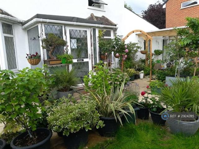 1 bedroom house share to rent
