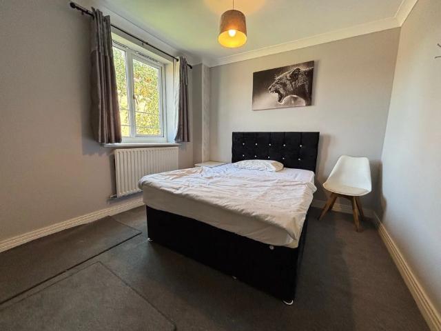 1 bedroom house share to rent