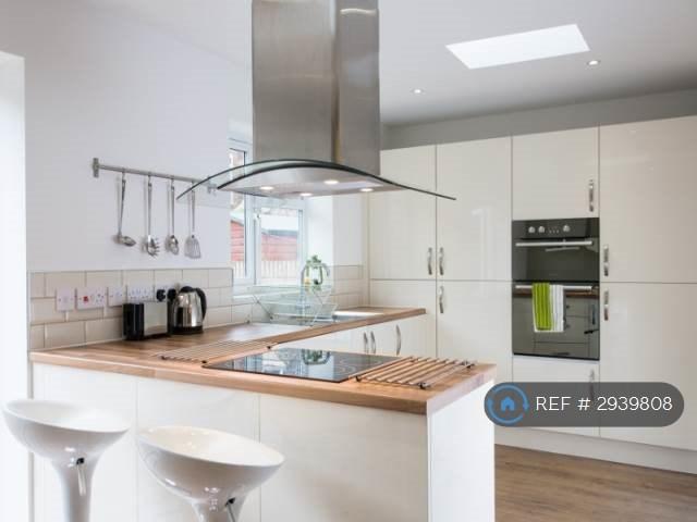 1 bedroom house share to rent