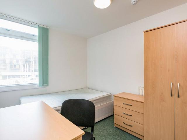 1 bedroom house share to rent