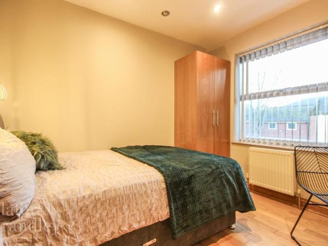 1 bedroom house share to rent