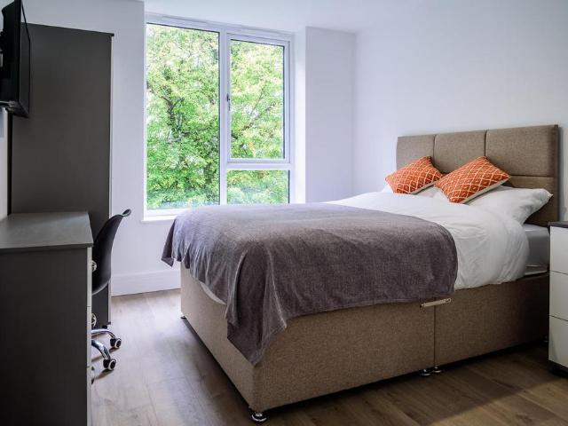 1 bedroom house share to rent