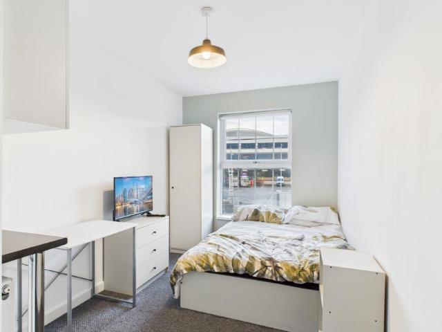1 bedroom house share to rent