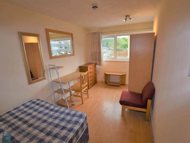 1 bedroom house share to rent