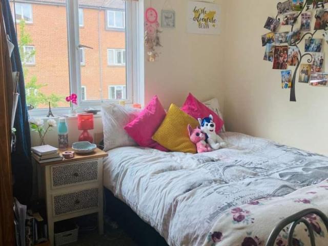 1 bedroom house share to rent