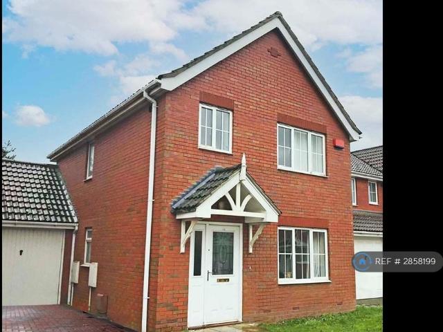 1 bedroom house share to rent