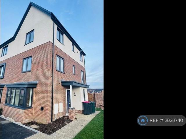 1 bedroom house share to rent