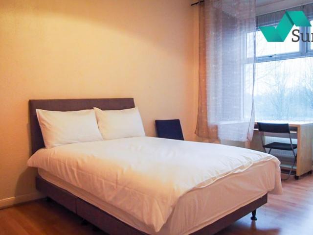 1 bedroom house share to rent