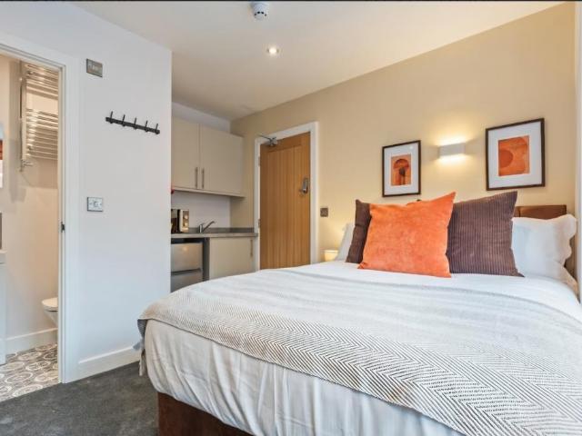 1 bedroom house share to rent