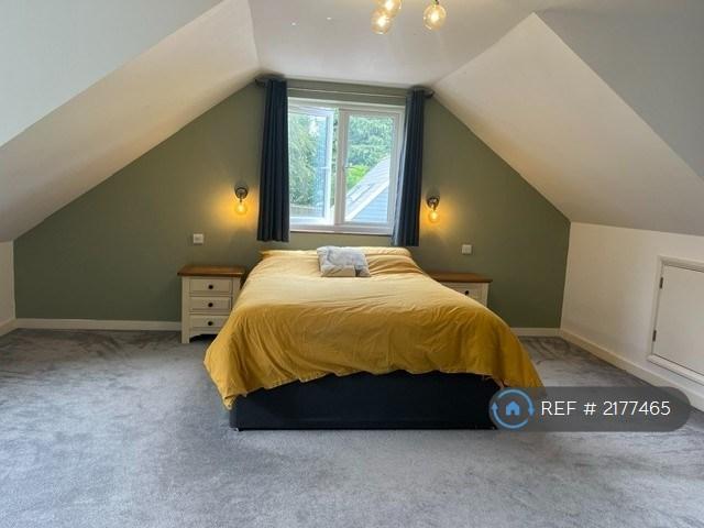 1 bedroom house share to rent
