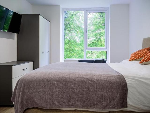 1 bedroom house share to rent