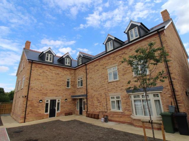 1 bedroom house share to rent