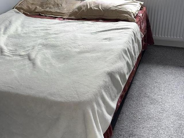 1 bedroom house share to rent