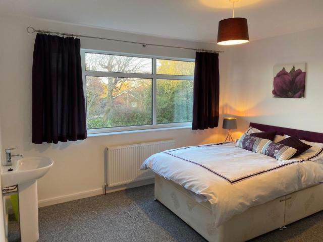 1 bedroom house share to rent