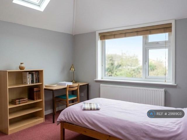 1 bedroom house share to rent