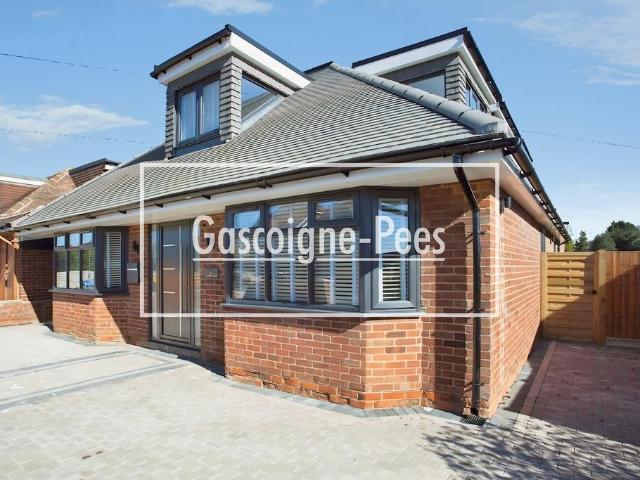 1 bedroom house share to rent