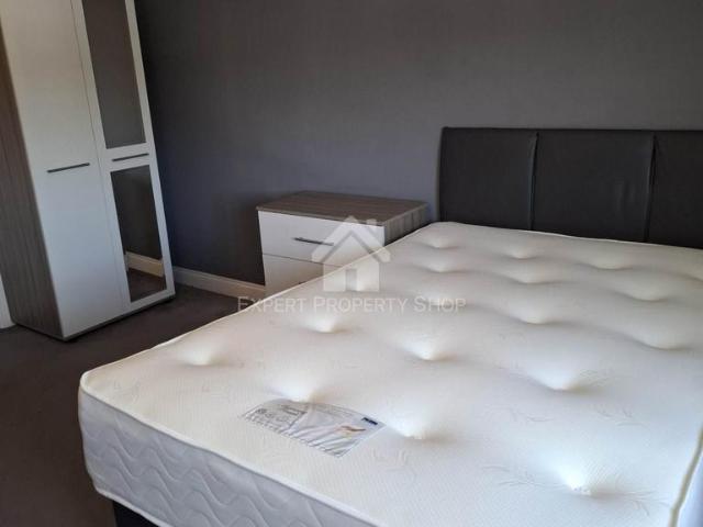 1 bedroom house share to rent