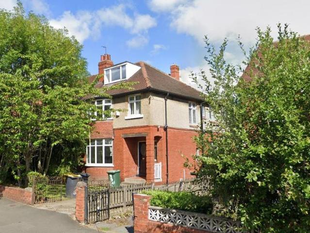 1 bedroom house share to rent