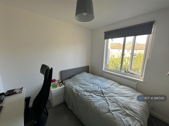 1 bedroom house share to rent