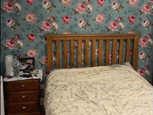 1 bedroom house share to rent