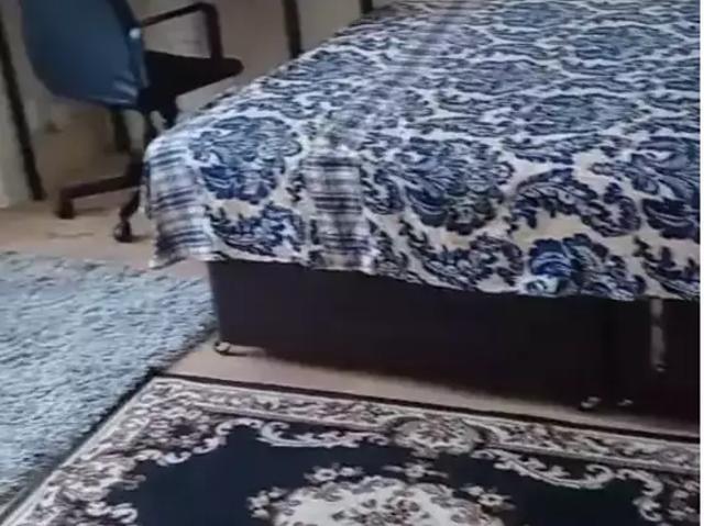 1 bedroom house share to rent