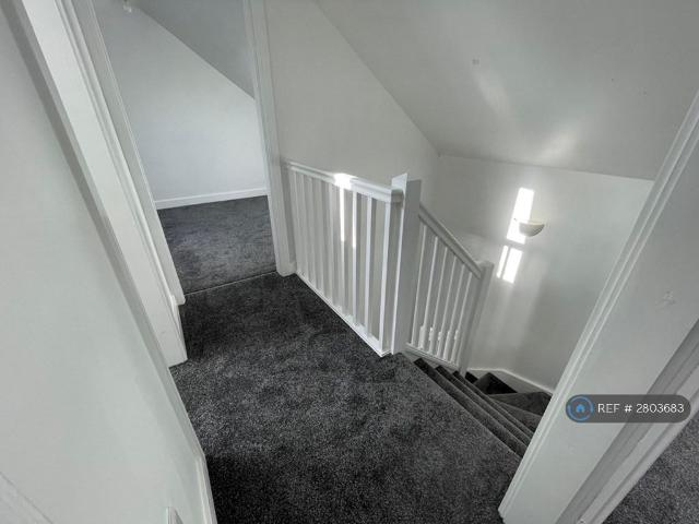1 bedroom house share to rent