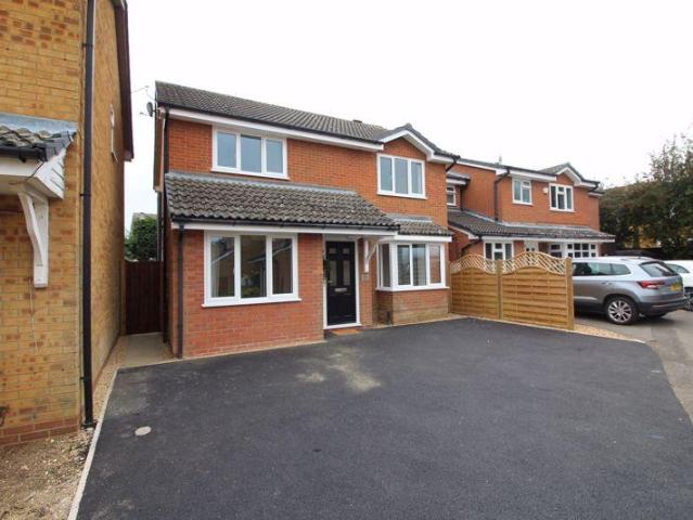 1 bedroom house share to rent