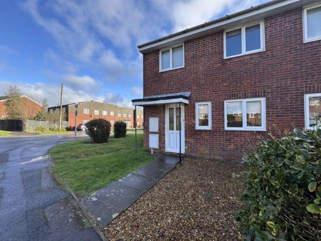 1 bedroom house share to rent