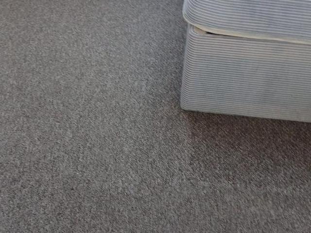 1 bedroom house share to rent