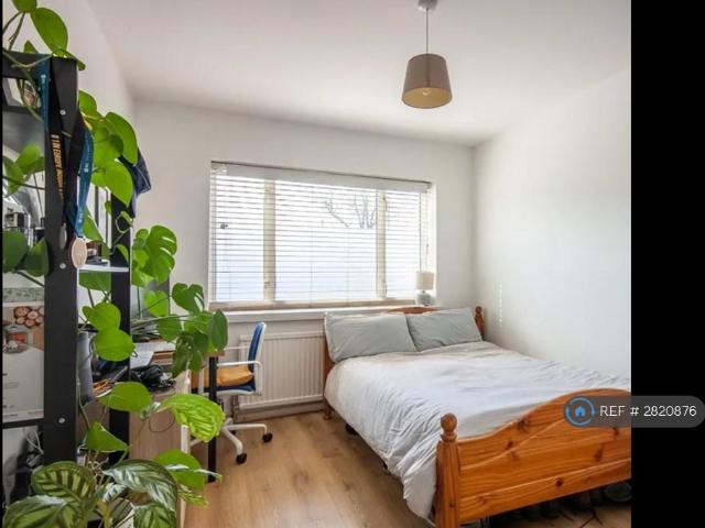 1 bedroom house share to rent