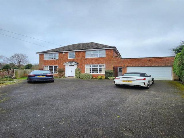 1 bedroom house share to rent