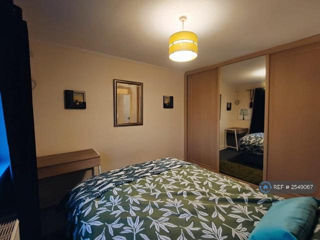 1 bedroom house share to rent