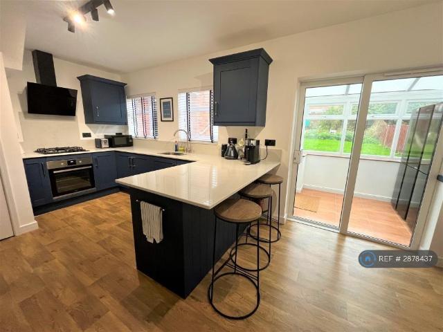 1 bedroom house share to rent