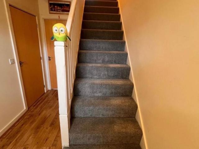 1 bedroom house share to rent