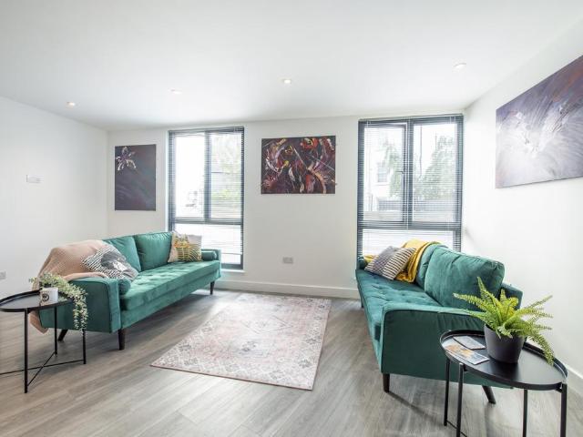 1 bedroom house share to rent