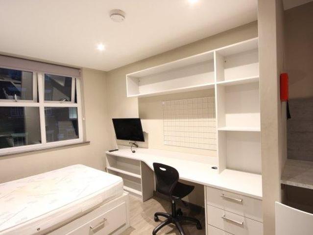 1 bedroom house share to rent
