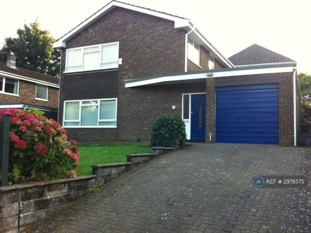 1 bedroom house share to rent