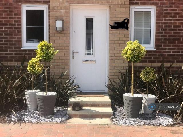 1 bedroom house share to rent