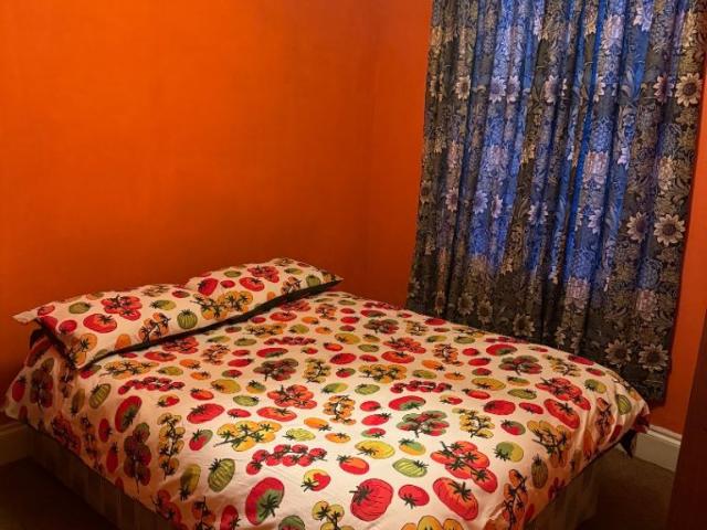 1 bedroom house share to rent