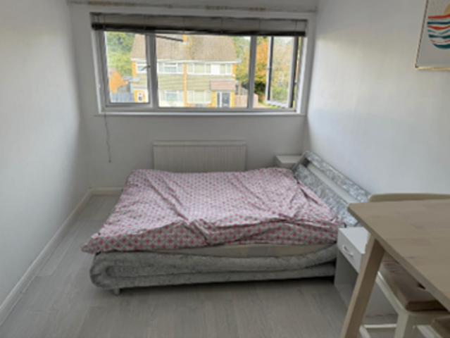 1 bedroom house share to rent