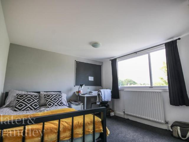1 bedroom house share to rent
