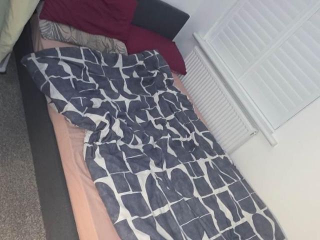 1 bedroom house share to rent