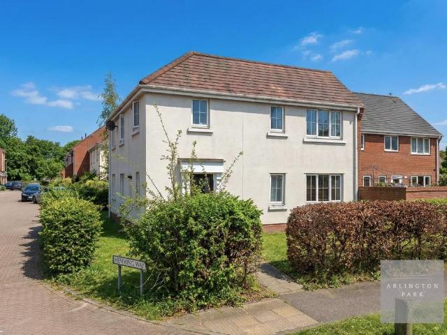 1 bedroom house share to rent