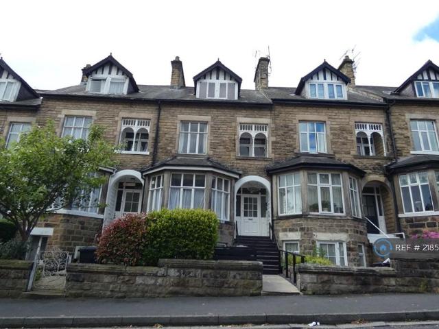 1 bedroom house share to rent