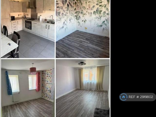 1 bedroom house share to rent