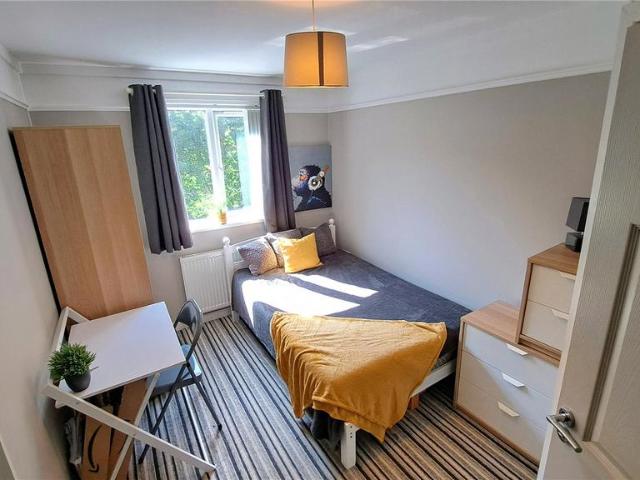 1 bedroom house share to rent