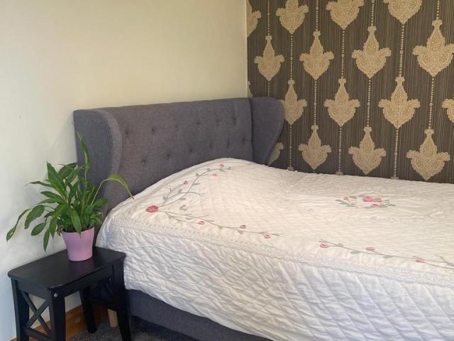 1 bedroom house share to rent