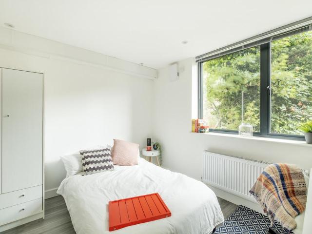 1 bedroom house share to rent