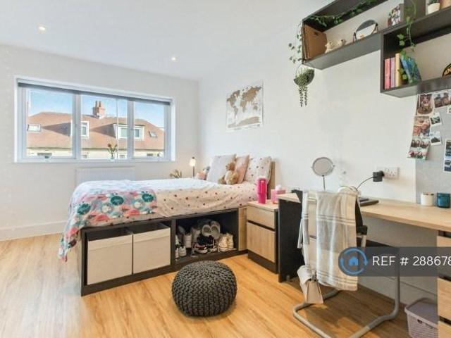 1 bedroom house share to rent